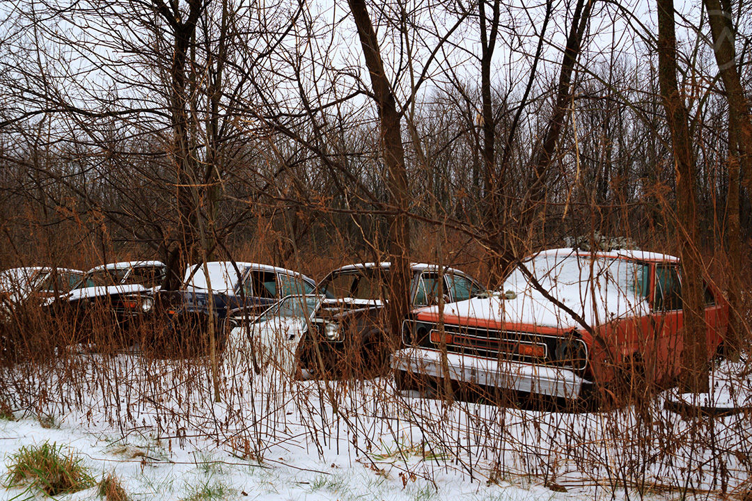 Too Little, Too Late: Austin Marina - Old Motors