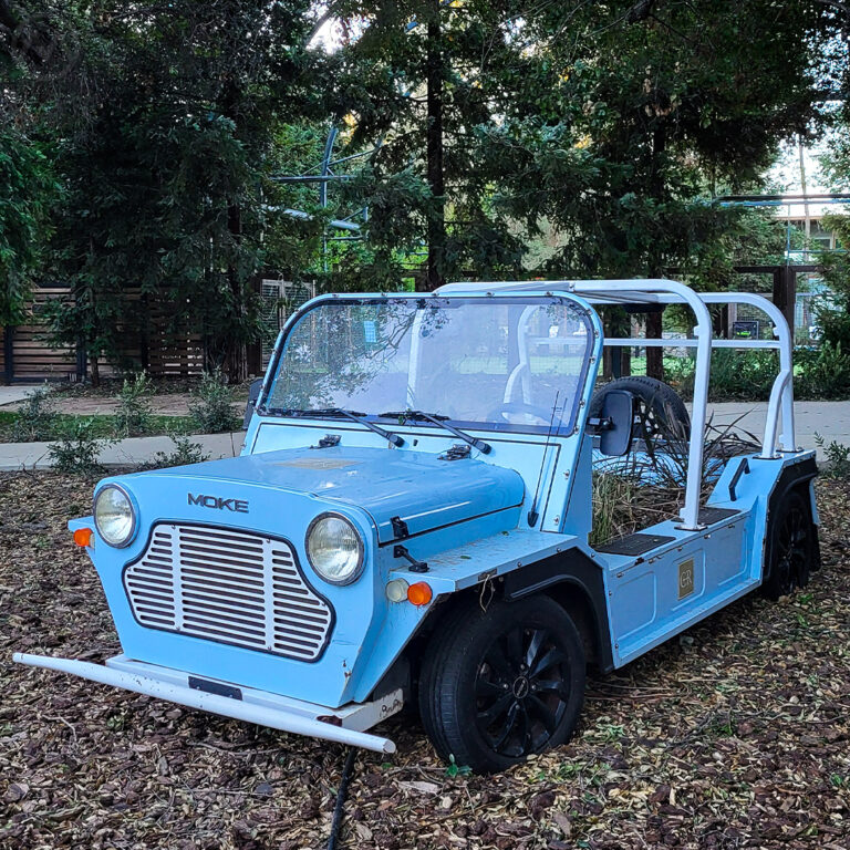 Mini Moke: The Little Beach Car That Could - Old Motors